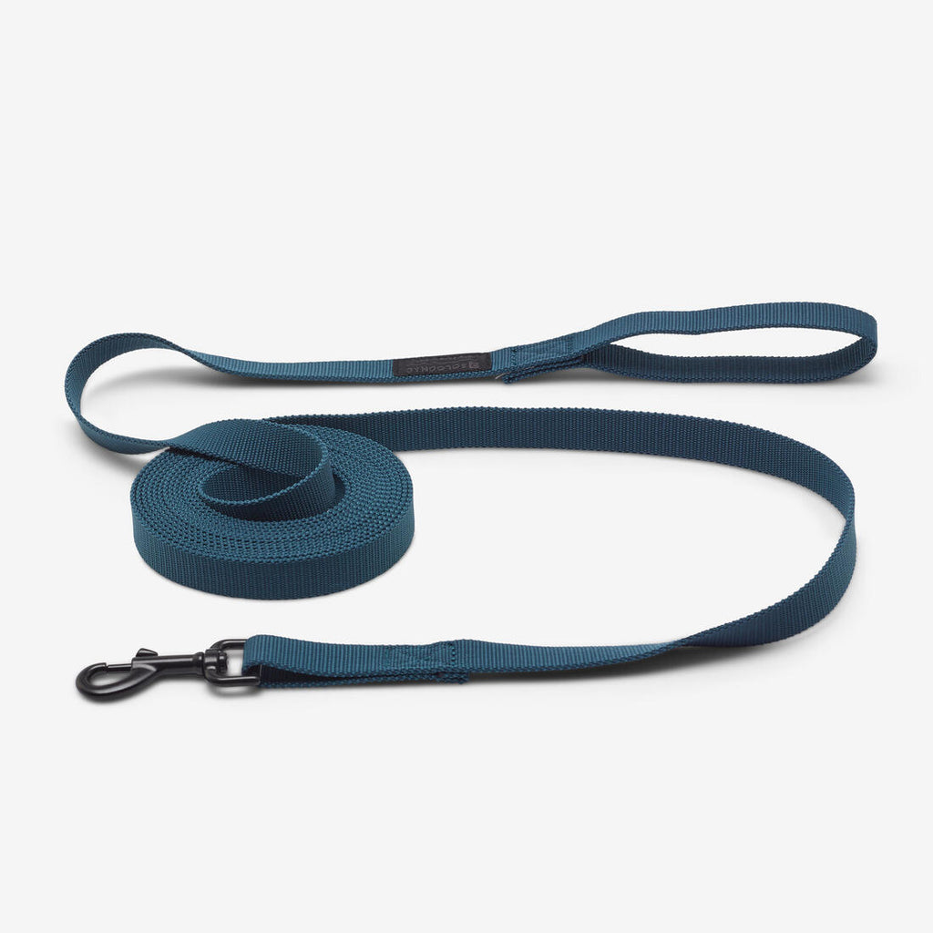 Dog Longline Lead 5 m Blue 100 – Decathlon Cyprus